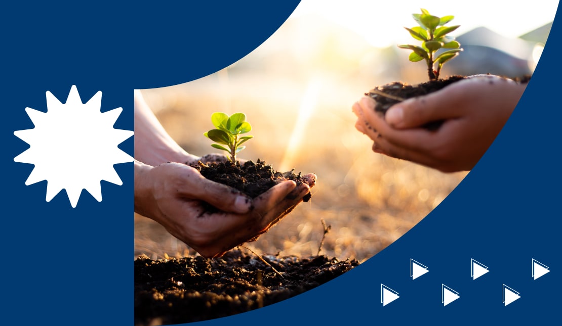 Acciones cotidianas que ayudan a proteger el medio ambiente | Modo U